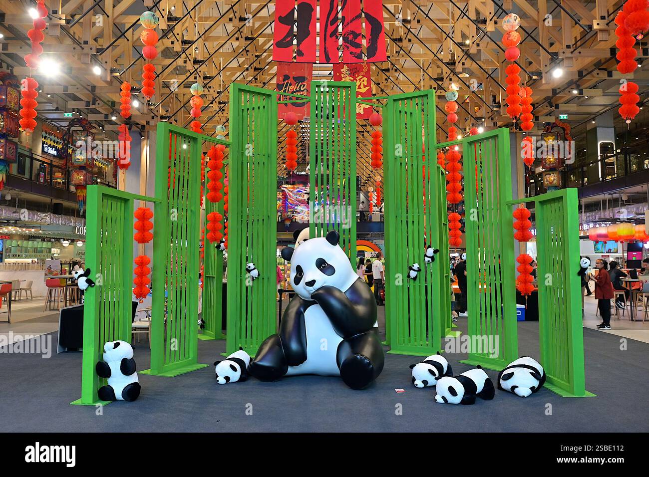 Pandas on display at a popular Bangkok shopping mall to mark Lunar New ...