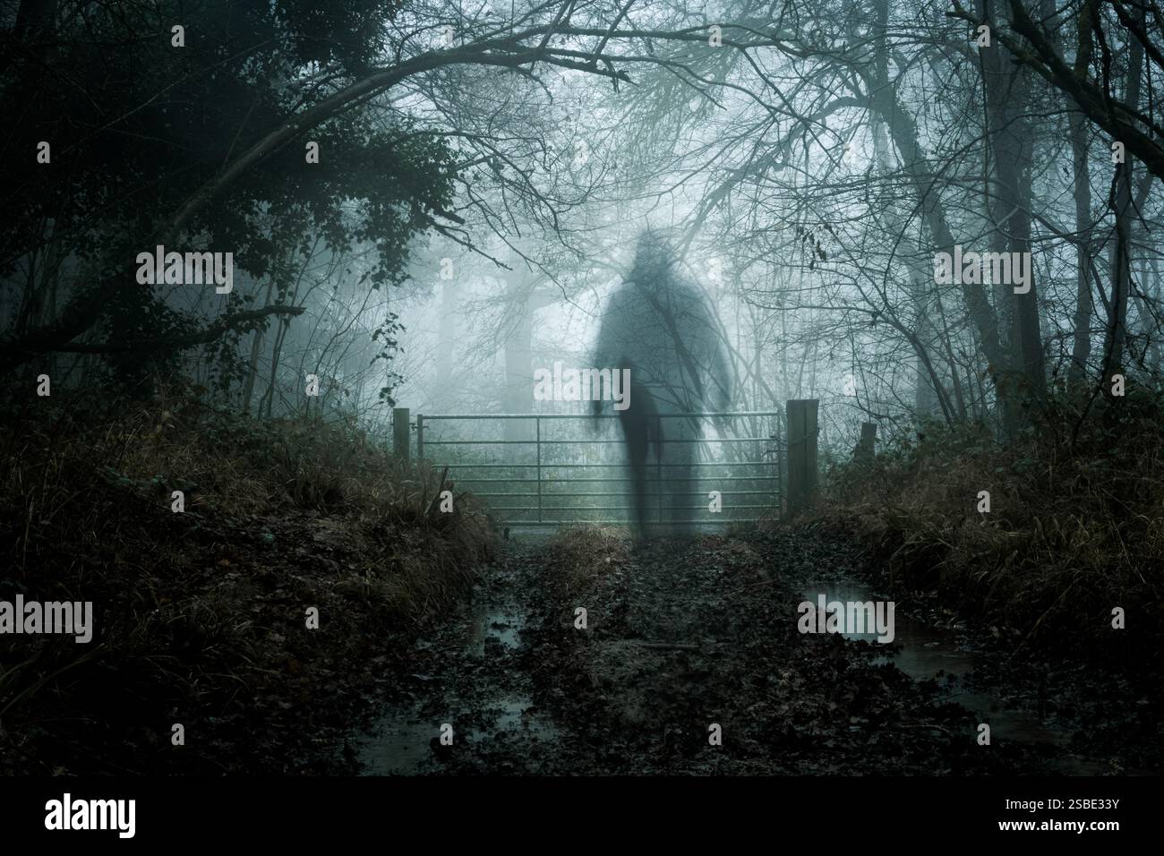 A ghost haunting a forest. On a spooky foggy winters day. On a track ...