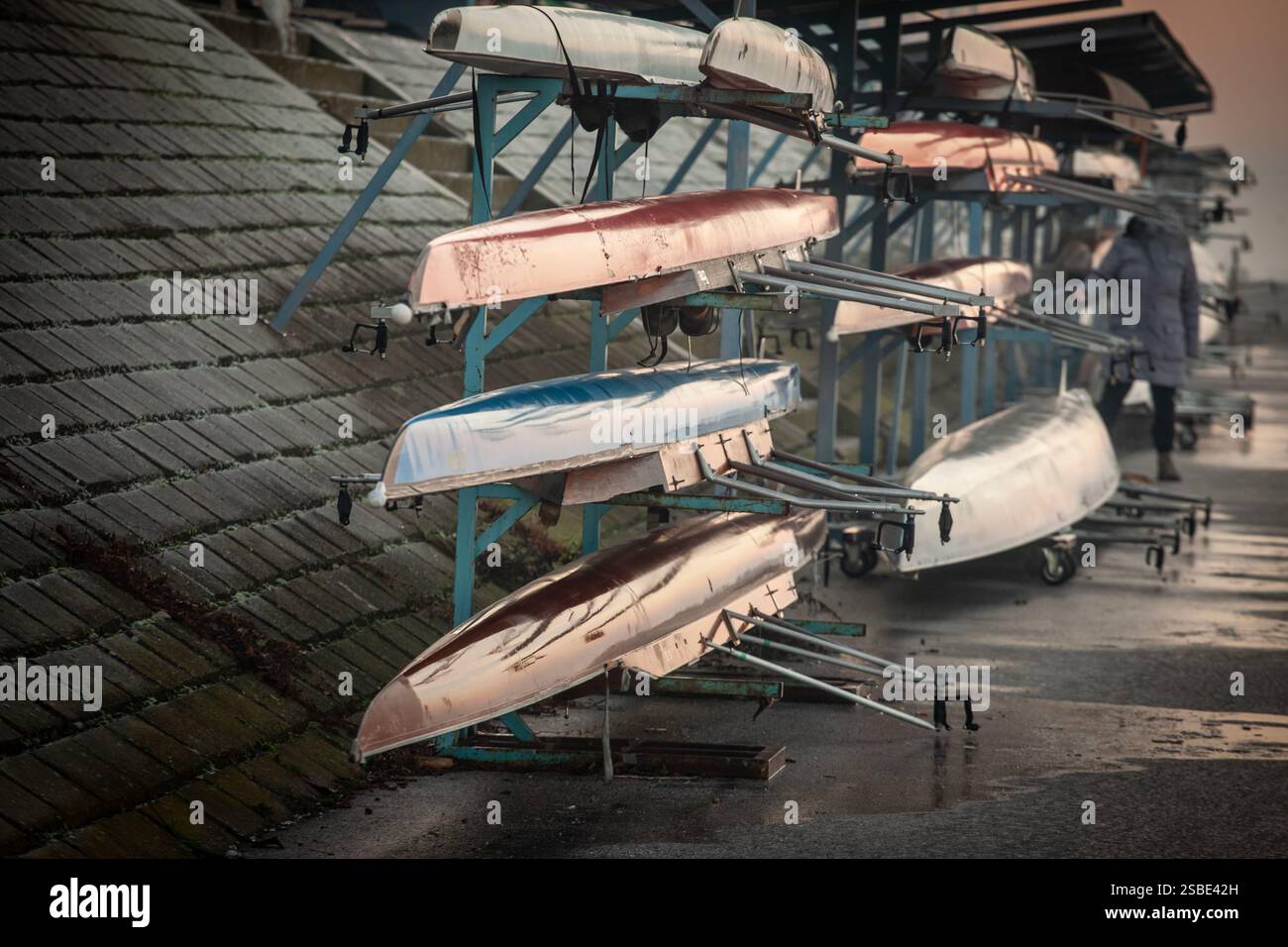 Multiple rowing shells, including sweep oar and coxed four boats, rest ...