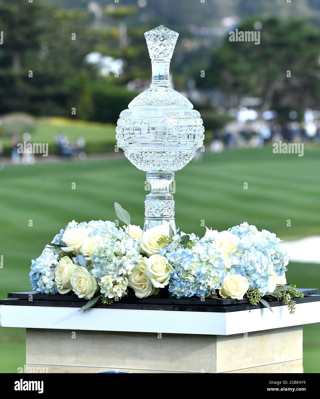 Pebble Beach, Ca, USA. 2nd Feb, 2025. A general view of the trophy ...
