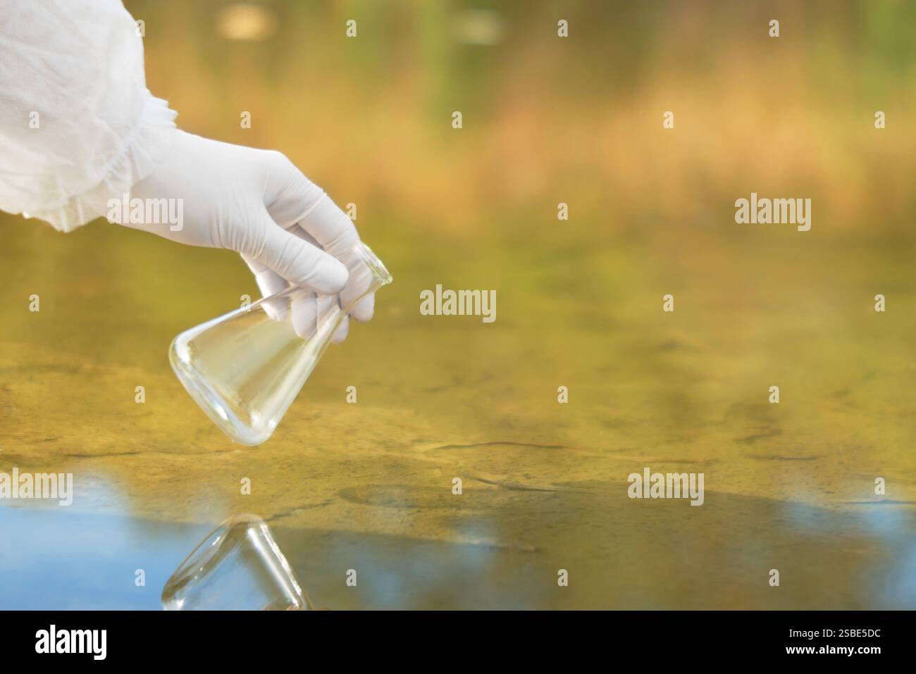 Examination of water quality. Researcher taking water sample from lake ...