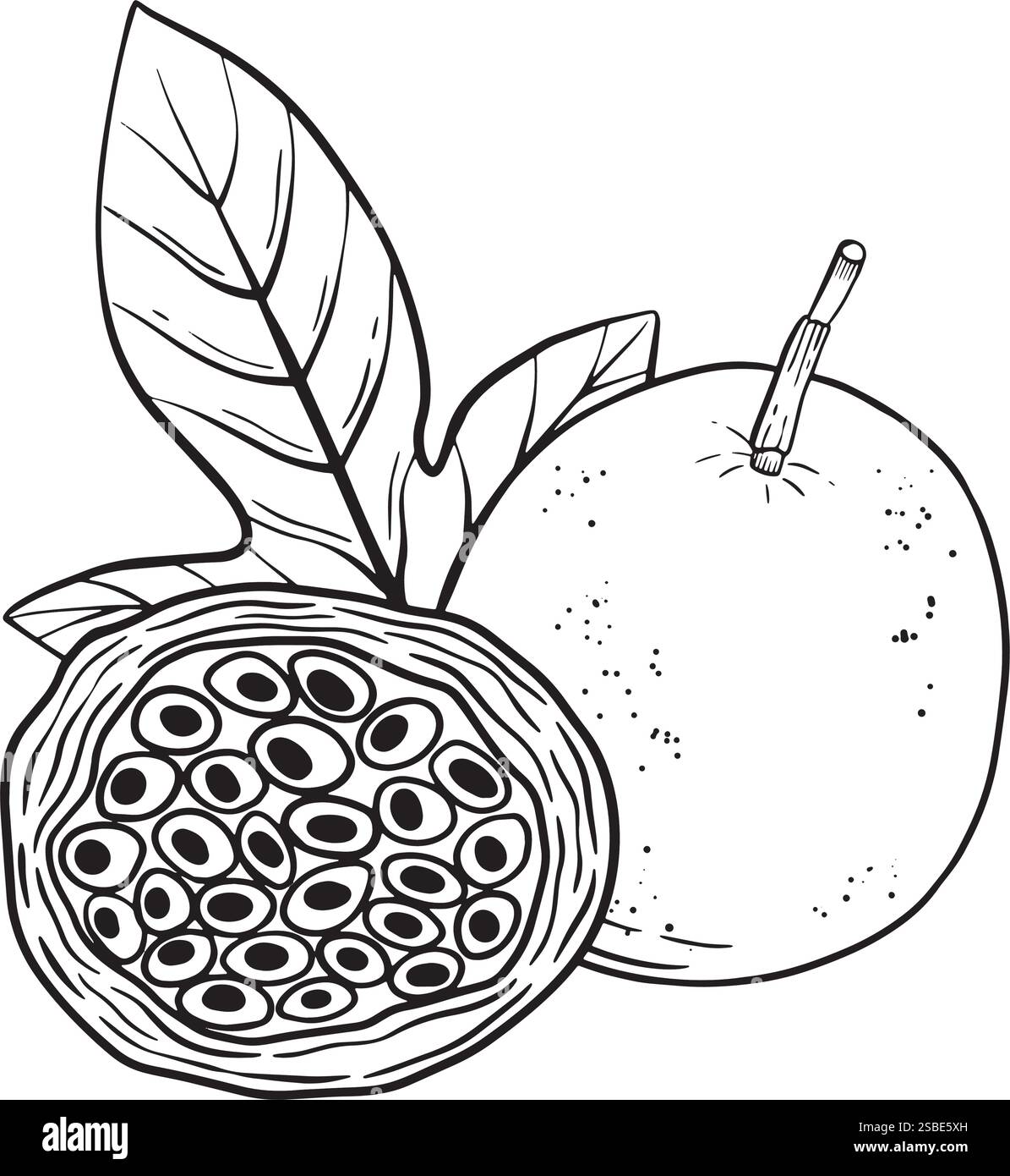 Leaves pack Black and White Stock Photos & Images - Alamy