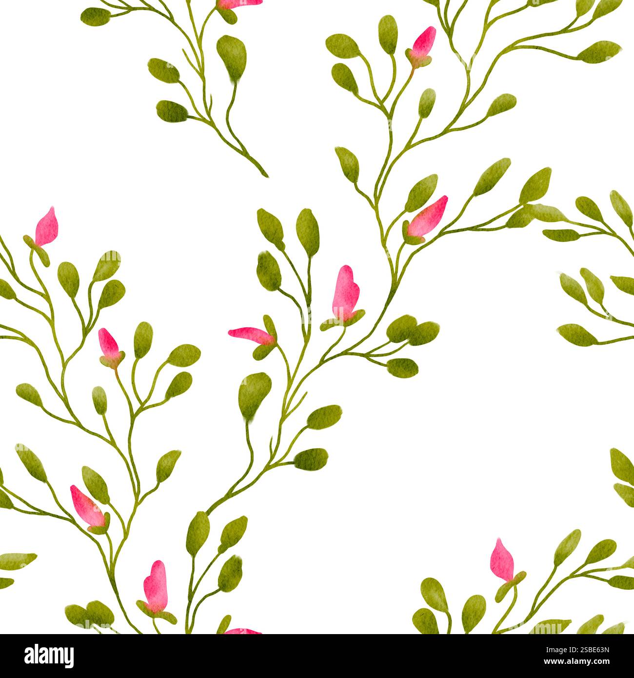 Delicate floral features Cut Out Stock Images & Pictures - Alamy