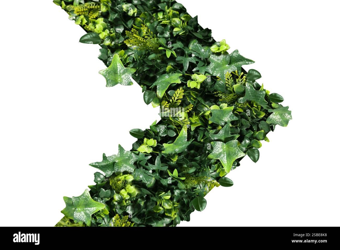 Arrow with green leaves of different plants inside isolated on white ...
