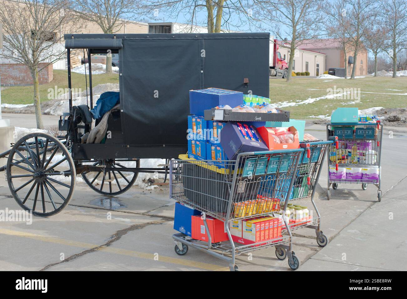 Black Amish buggy no horse with multiple grocery metal carts loaded ...