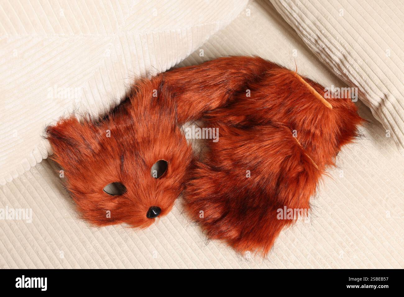 Quadrobics. Fox mask, gloves and tail on sofa, top view Stock Photo - Alamy