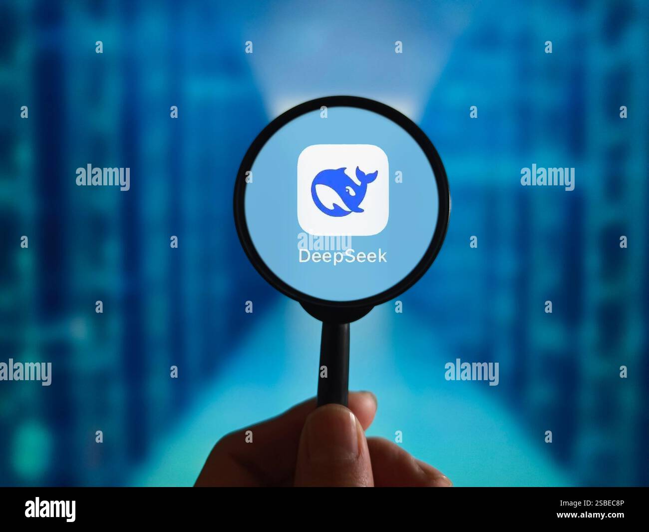 SUQIAN, CHINA - FEBRUARY 3, 2025 - An illustration photo shows the ...