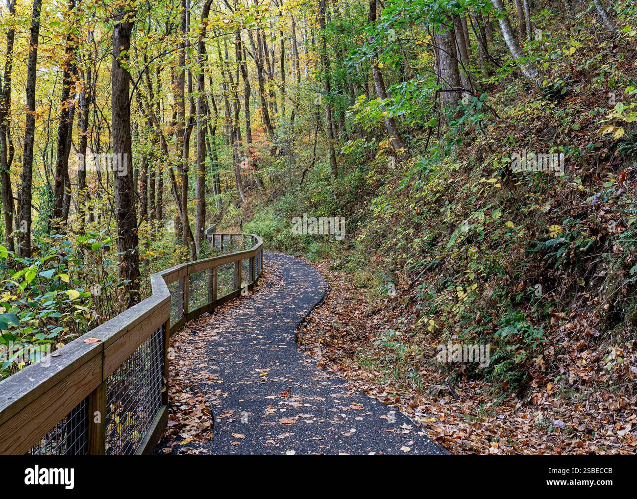 West Ridge Falls Access Trail at Amicalola State Park in George is an ...
