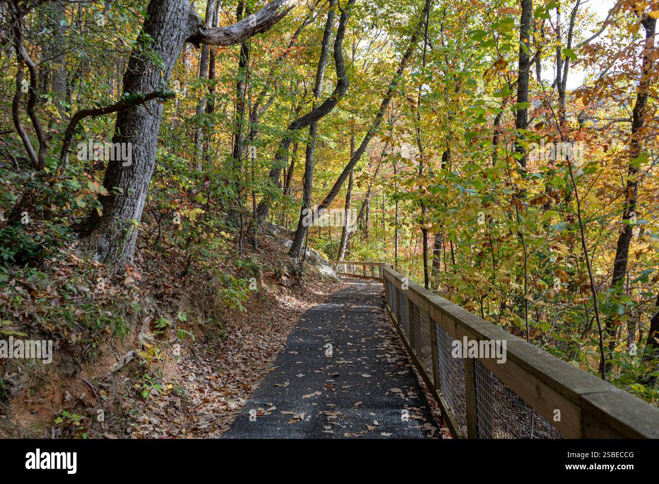 ADA compliant state park facilities - State Parks
