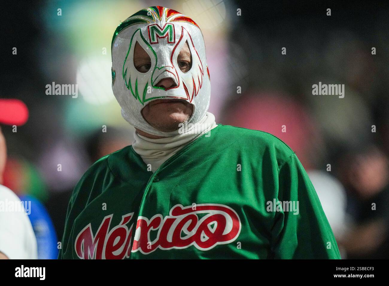 A fan of Mexico wears a mask during a Caribbean Series baseball game ...