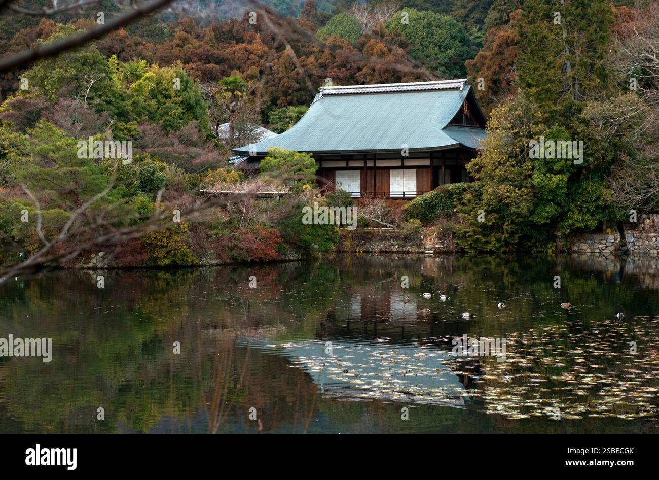 Daijuin Temple sitting beside Ryoanji Kyoyochi Pond on the grounds of ...