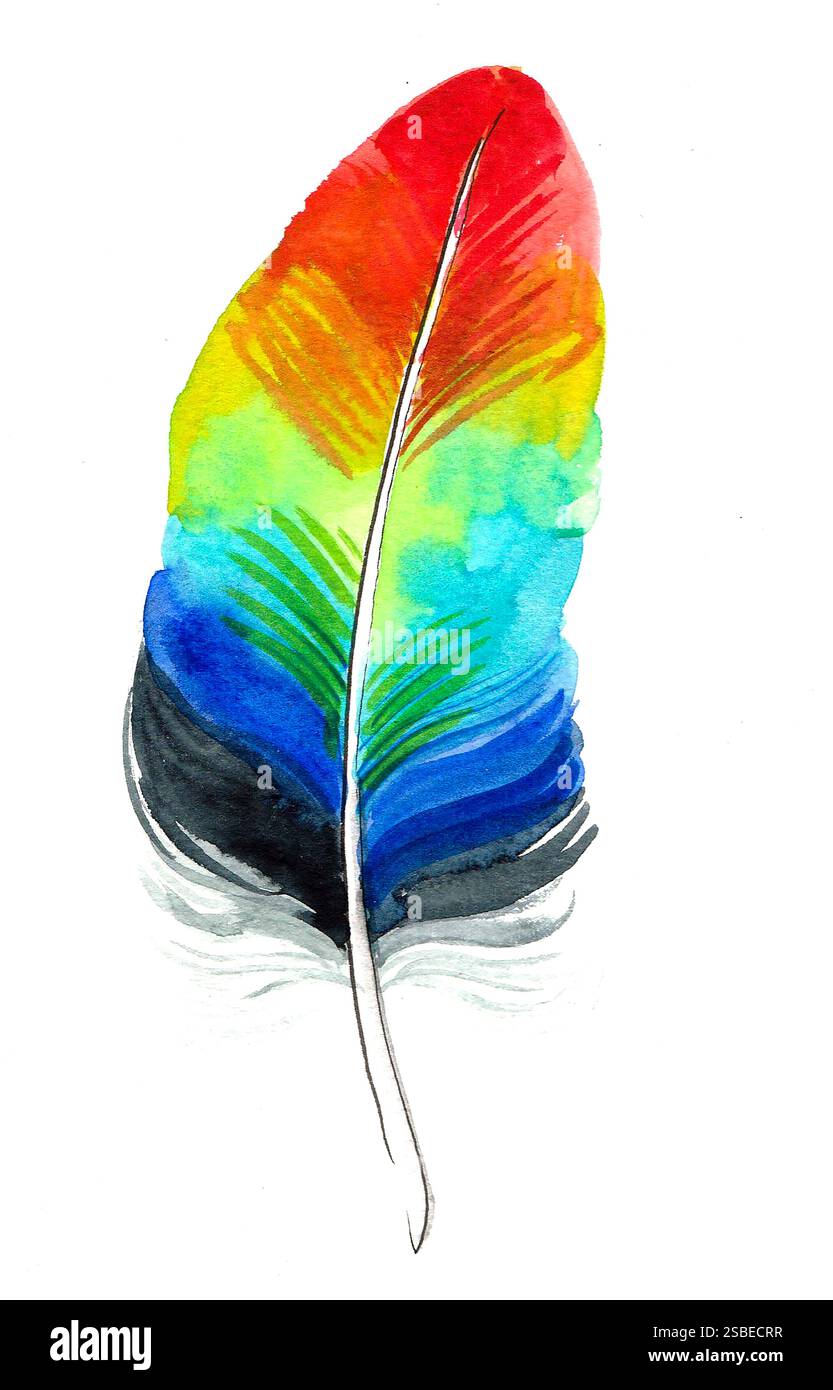 Rainbow feather. Hand drawn watercolour illustration Stock Photo - Alamy
