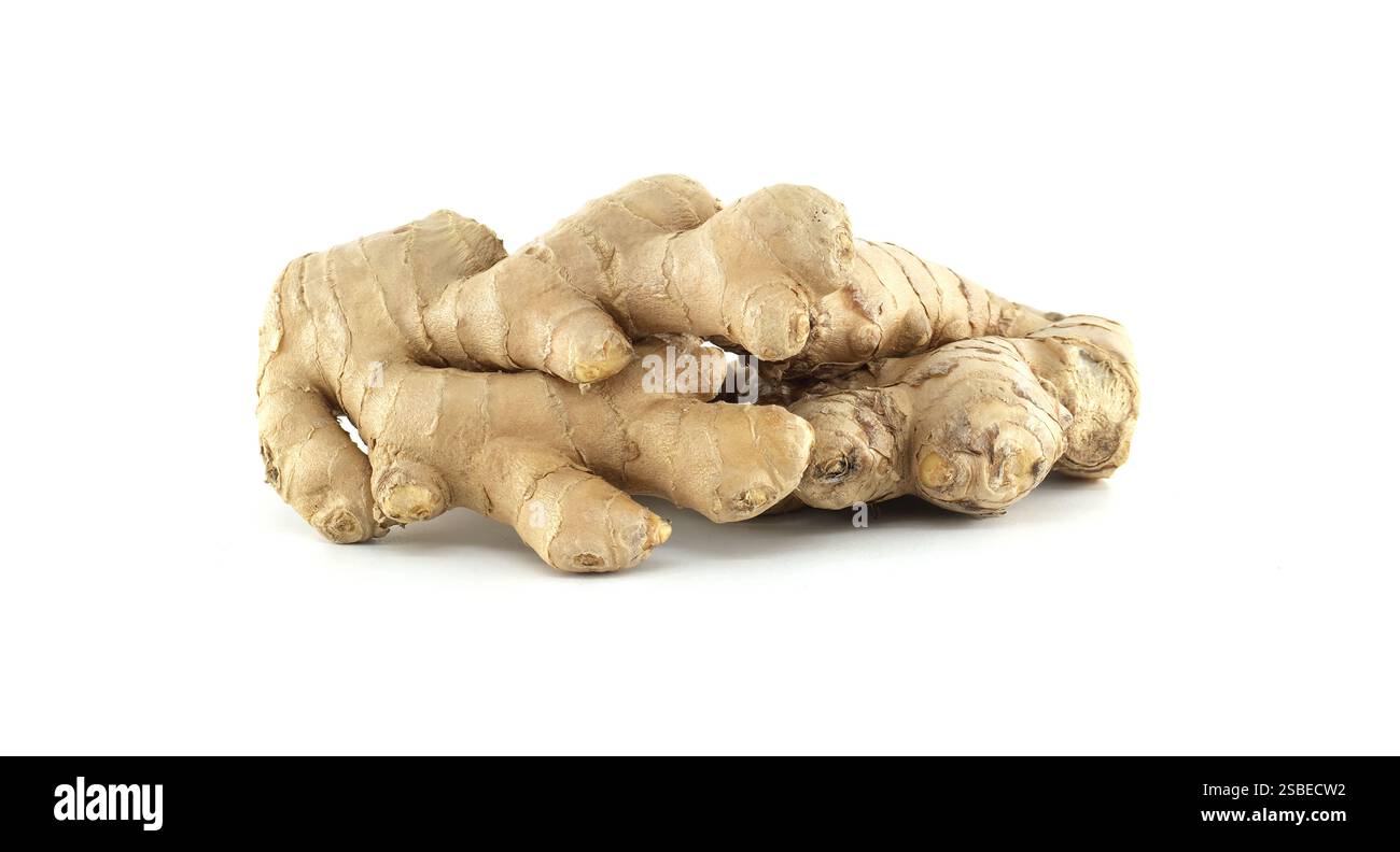 Fresh ginger root, known scientifically as Zingiber officinale, rests ...