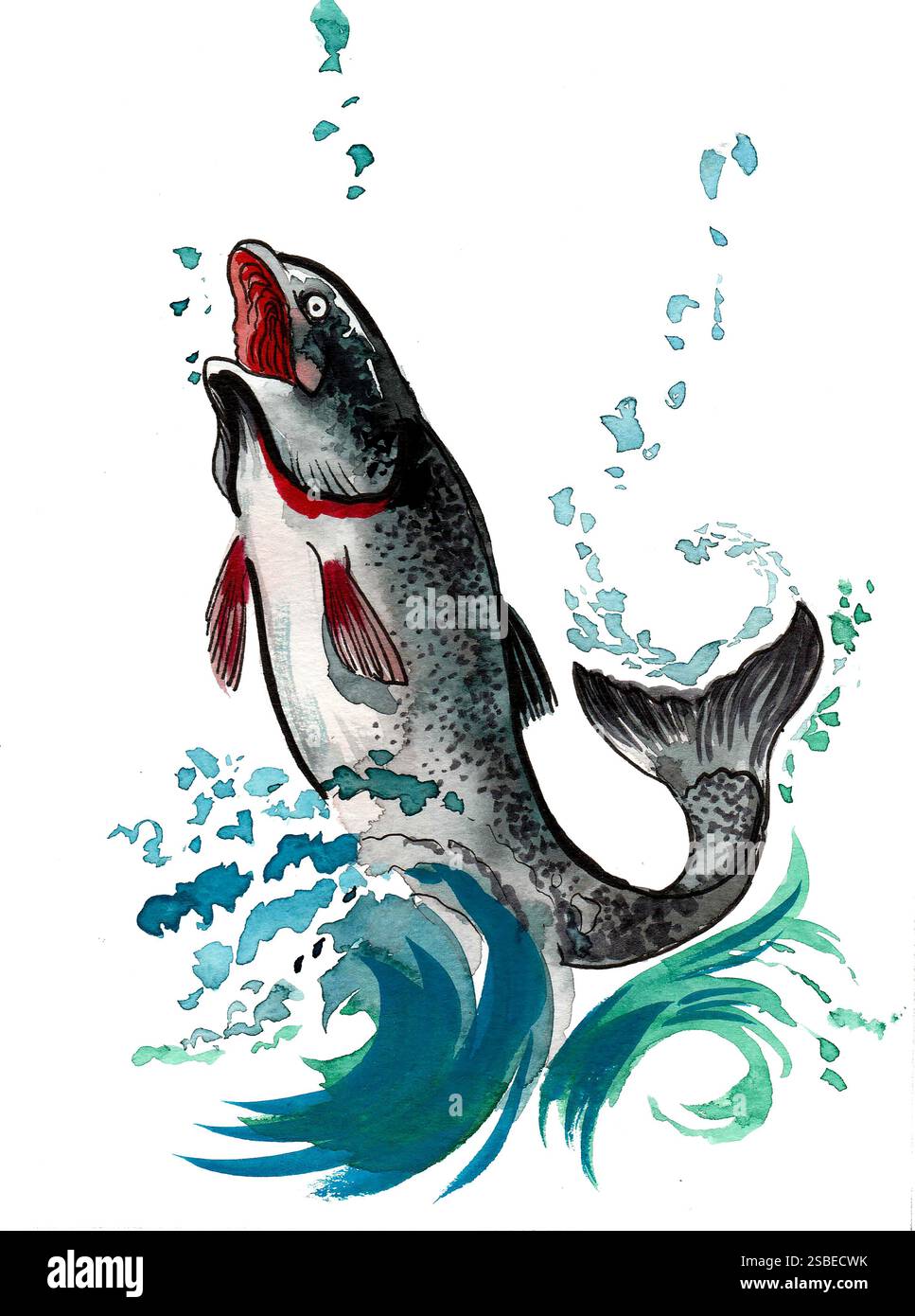 Leaping salmon fish. Hand drawn watercolour illustration Stock Photo ...