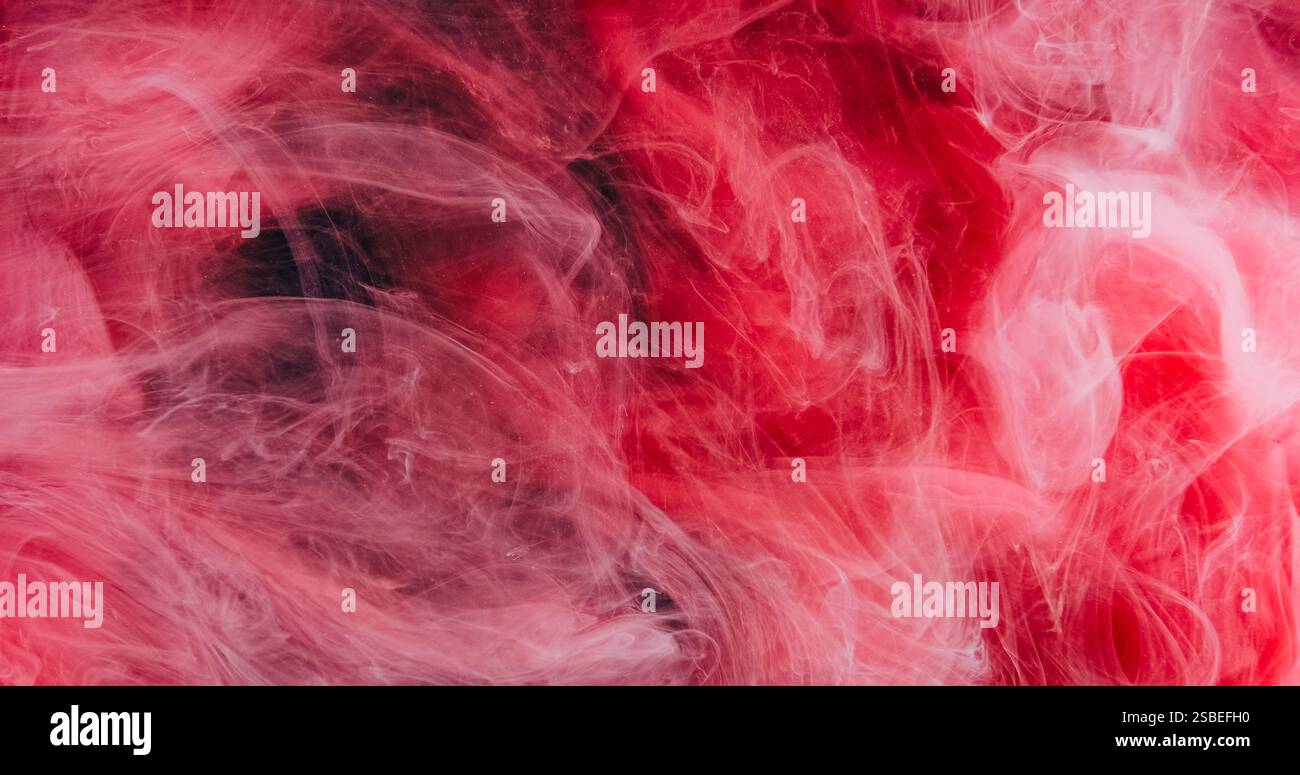 Vapor cloud. Paint splash water. Defocused pink red black color dye ...