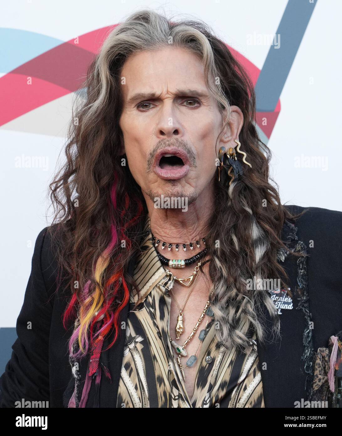 Steven Tyler arrives at the 6th Annual Jam for Janie GRAMMY Awards ...