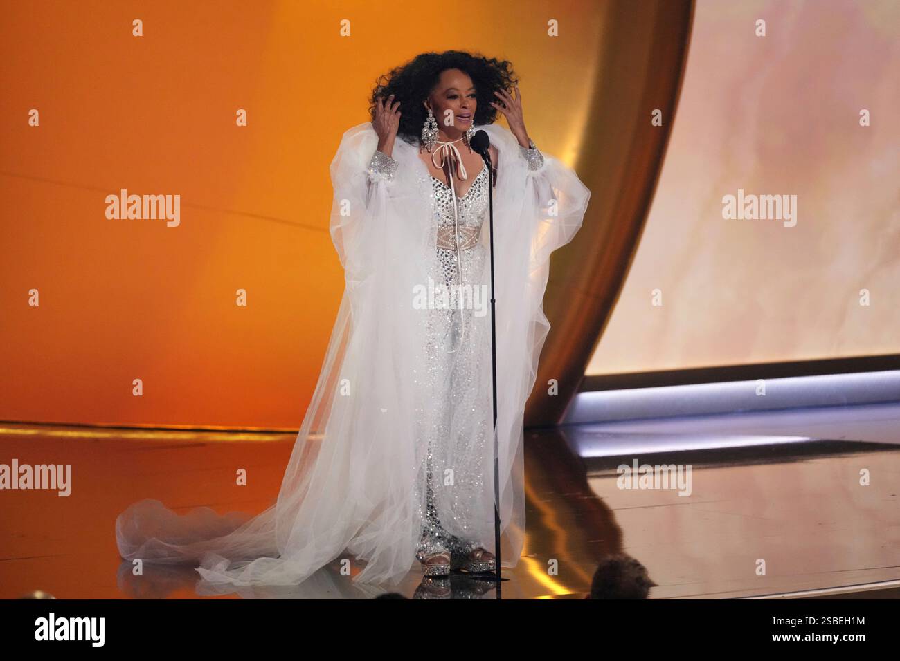 Diana Ross presents the award for song of the year during the 67th ...