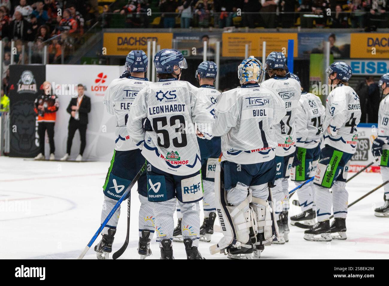 Tim Fleischer (Straubing Tigers, #91), Florian Bugl (Torwart, Straubing ...