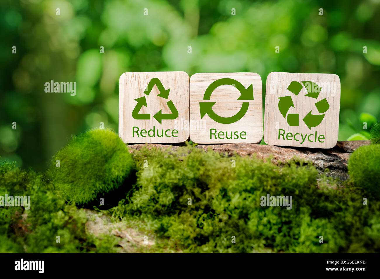 Reduce, reuse, recycle symbol in the middle of a beautiful untouched ...