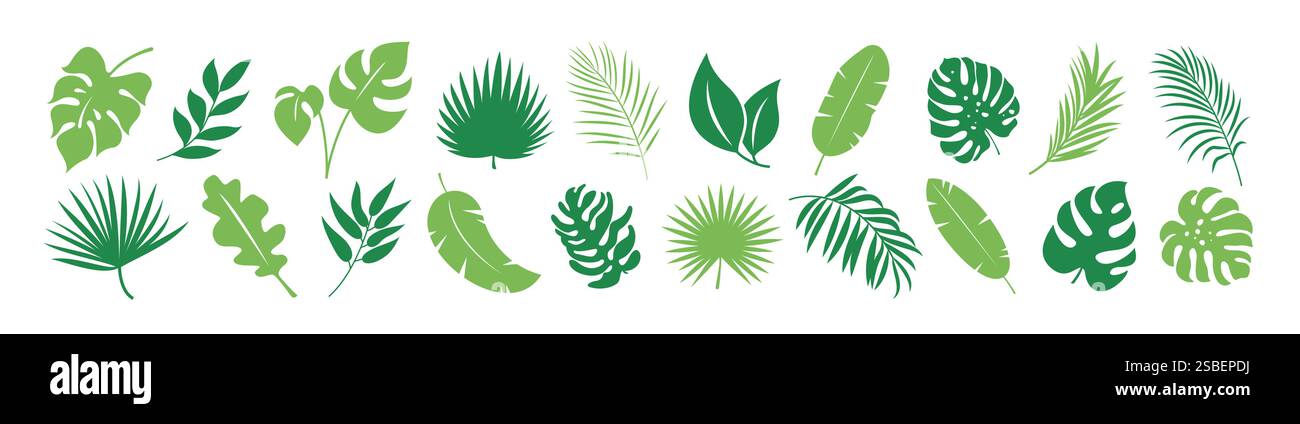 Tropical leaves green clipart set. Green leaf icon and symbol clip art ...