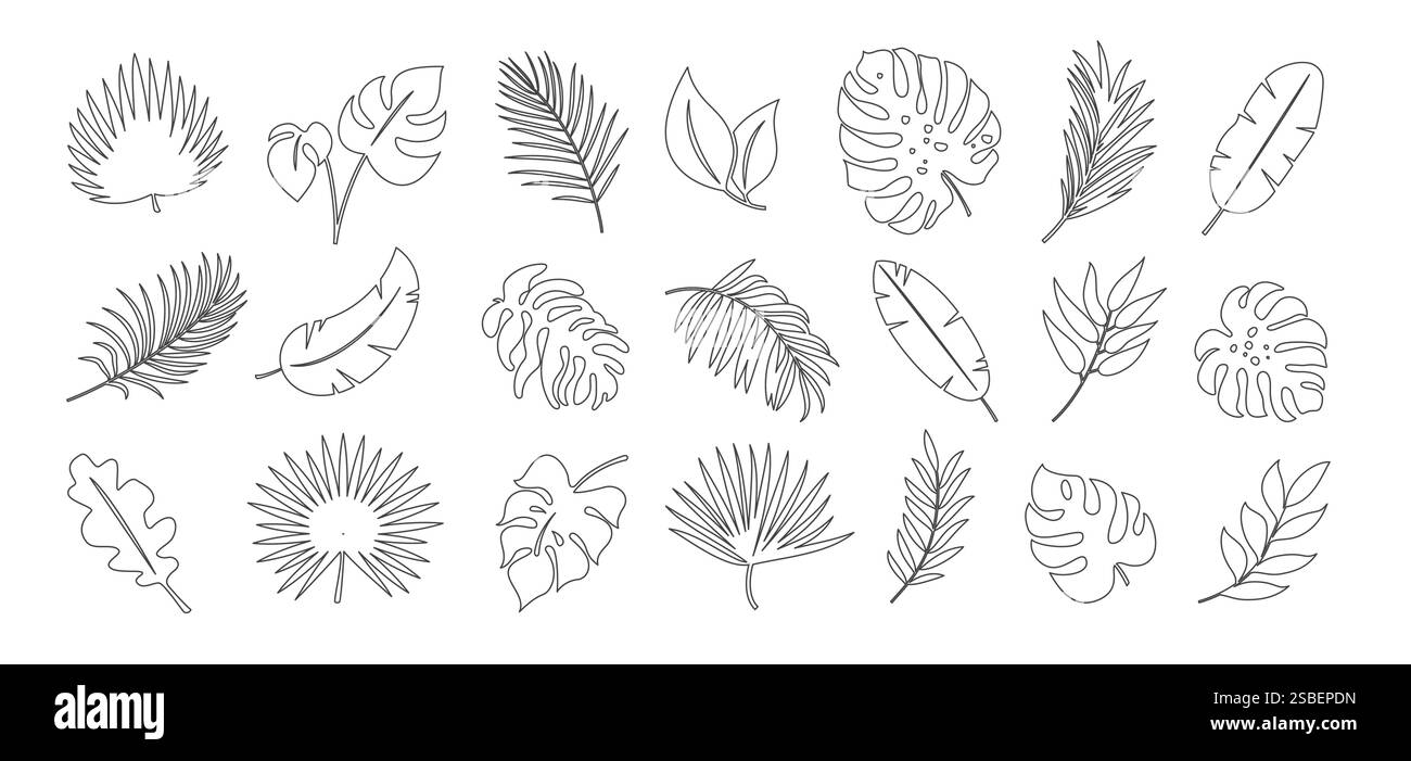 Tropical leaves outline clipart set. Tropical leaves clip art in hand ...