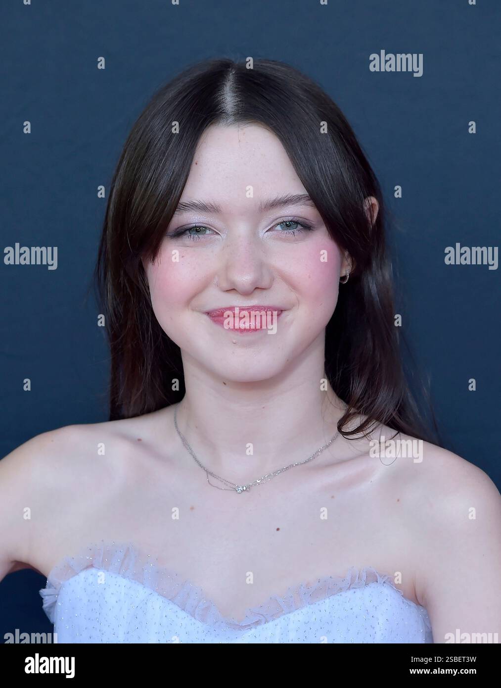 Universal City, USA. 02nd Feb, 2025. Violet McGraw arriving at the 52nd ...