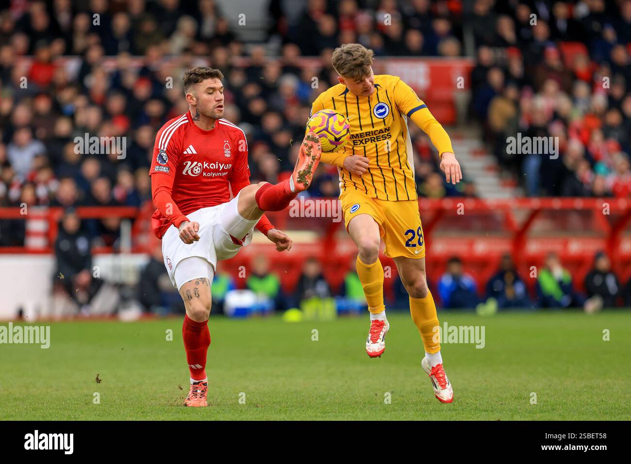 Morato of Nottingham Forest and Evan Ferguson of Brighton during the ...