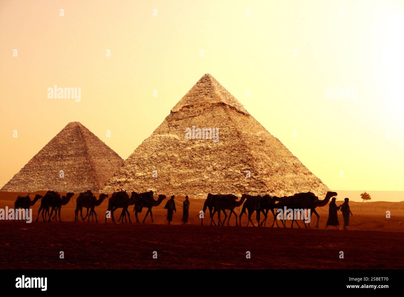 Horizontal banner with caravan of camels and Great Pyramids of Chephren ...