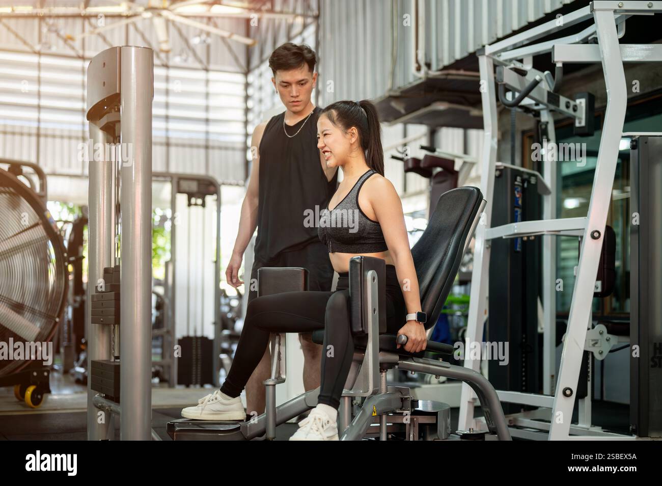 Adductor machine hi-res stock photography and images - Alamy