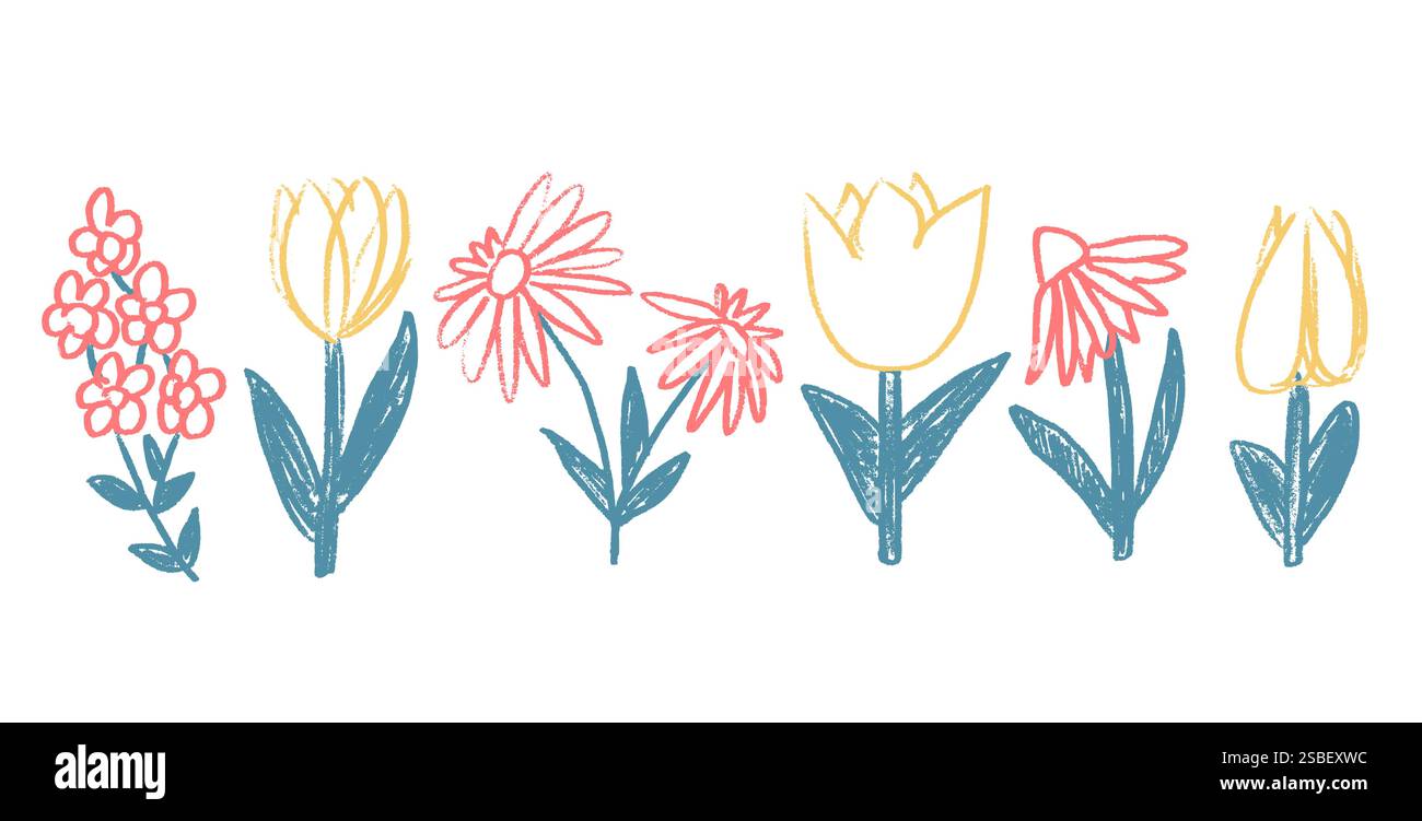 Flowers and leaves crayon drawn set. Spring tulip, daisy, chamomile and ...