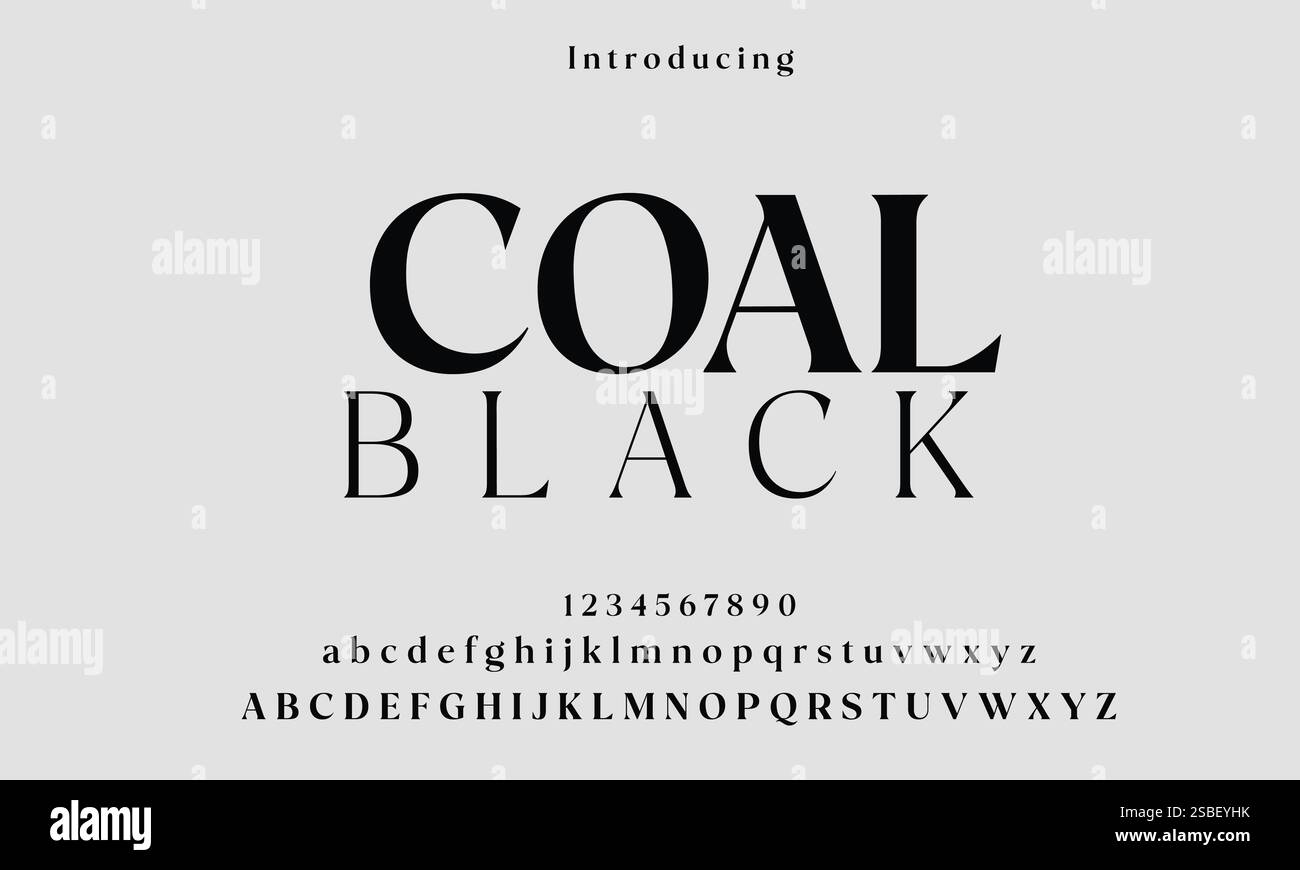 Elegant Font, Serif Typeface, Sans Serif, Modern Typography, Classic ...