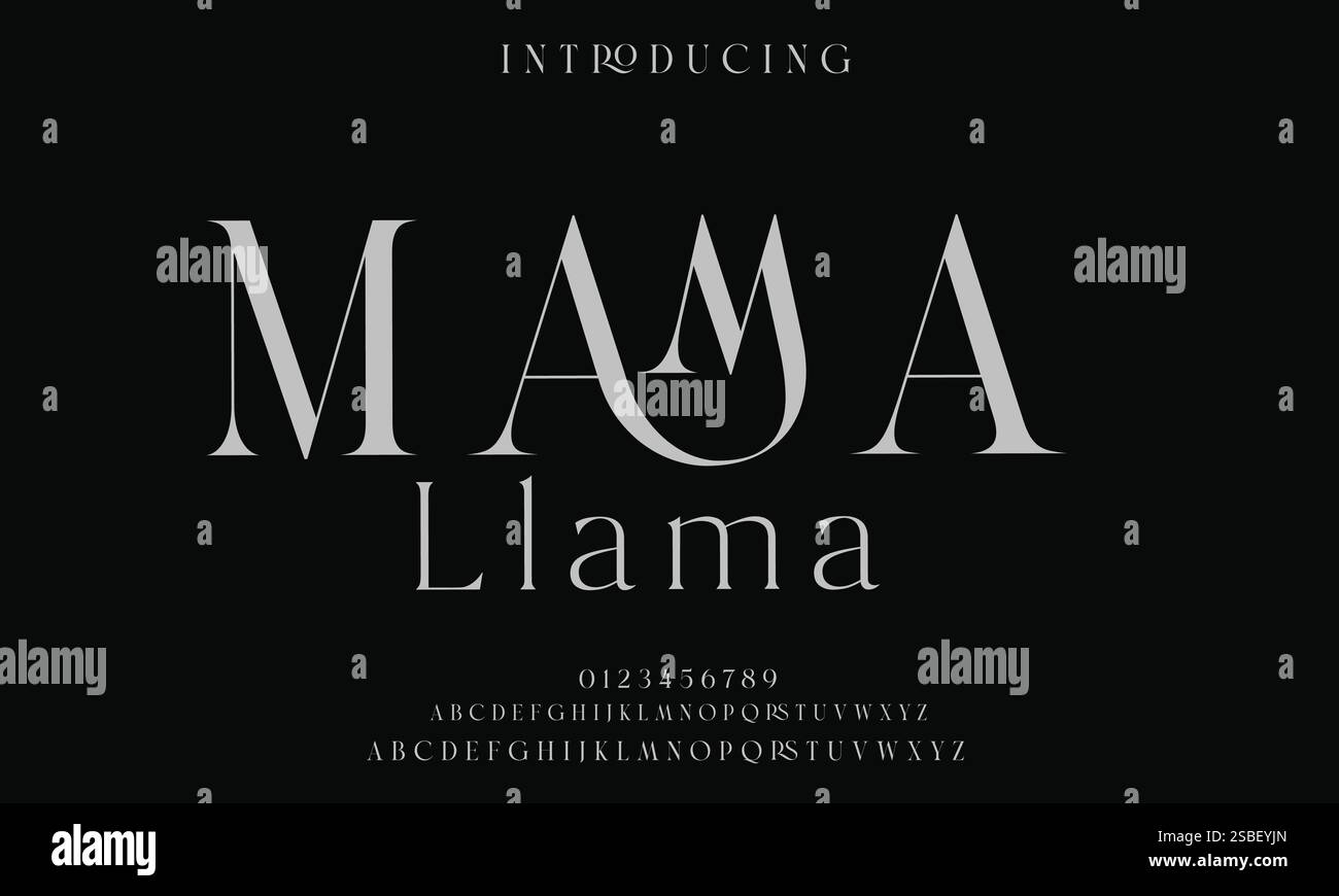 Elegant Font, Serif Typeface, Sans Serif, Modern Typography, Classic ...