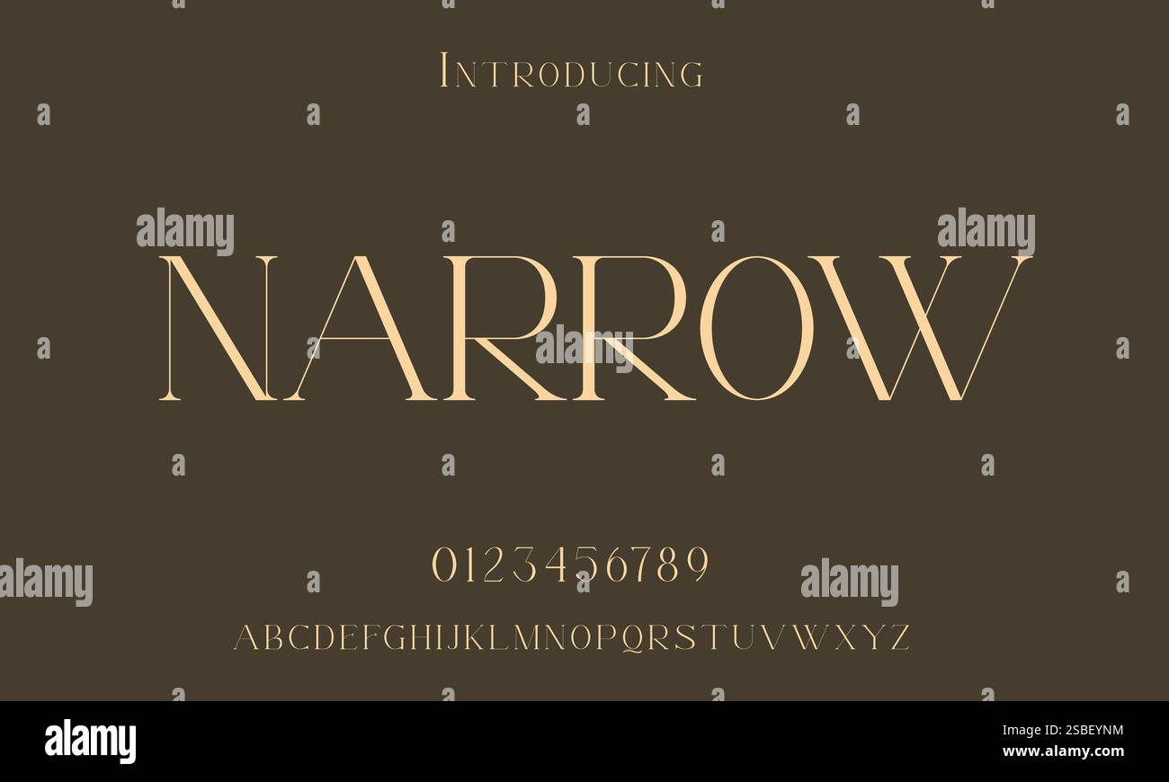 Elegant Font, Serif Typeface, Sans Serif, Modern Typography, Classic ...