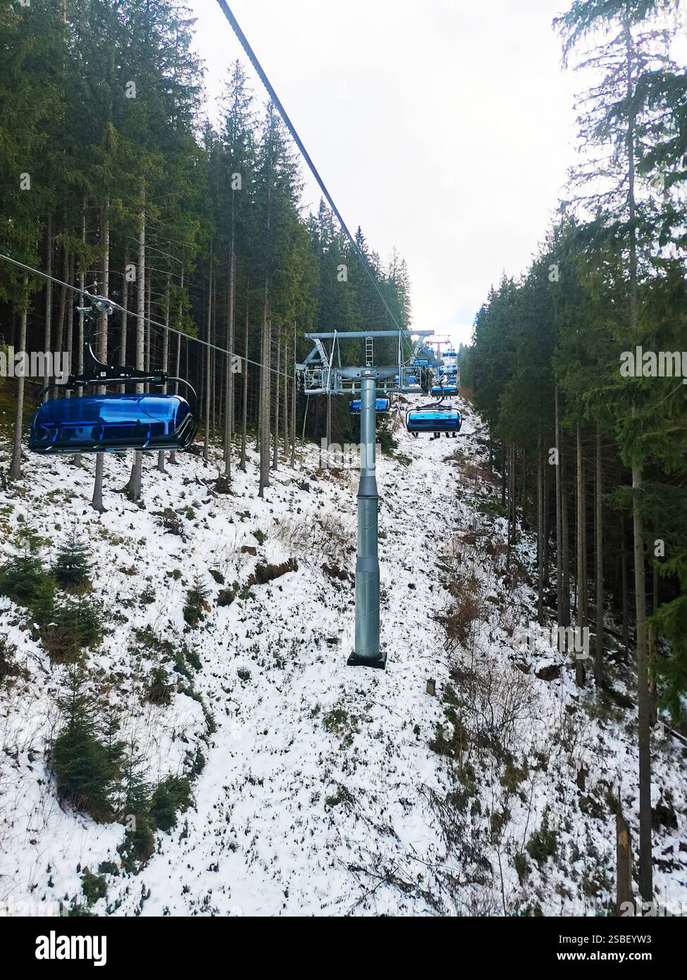 Cable car with closed cabins, moving through wooded area among fir ...