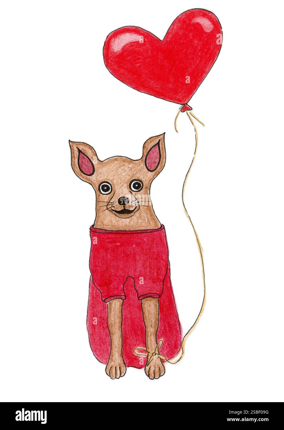 Romantic postcard. Drawing with colored pencils. Chihuahua dog in red ...