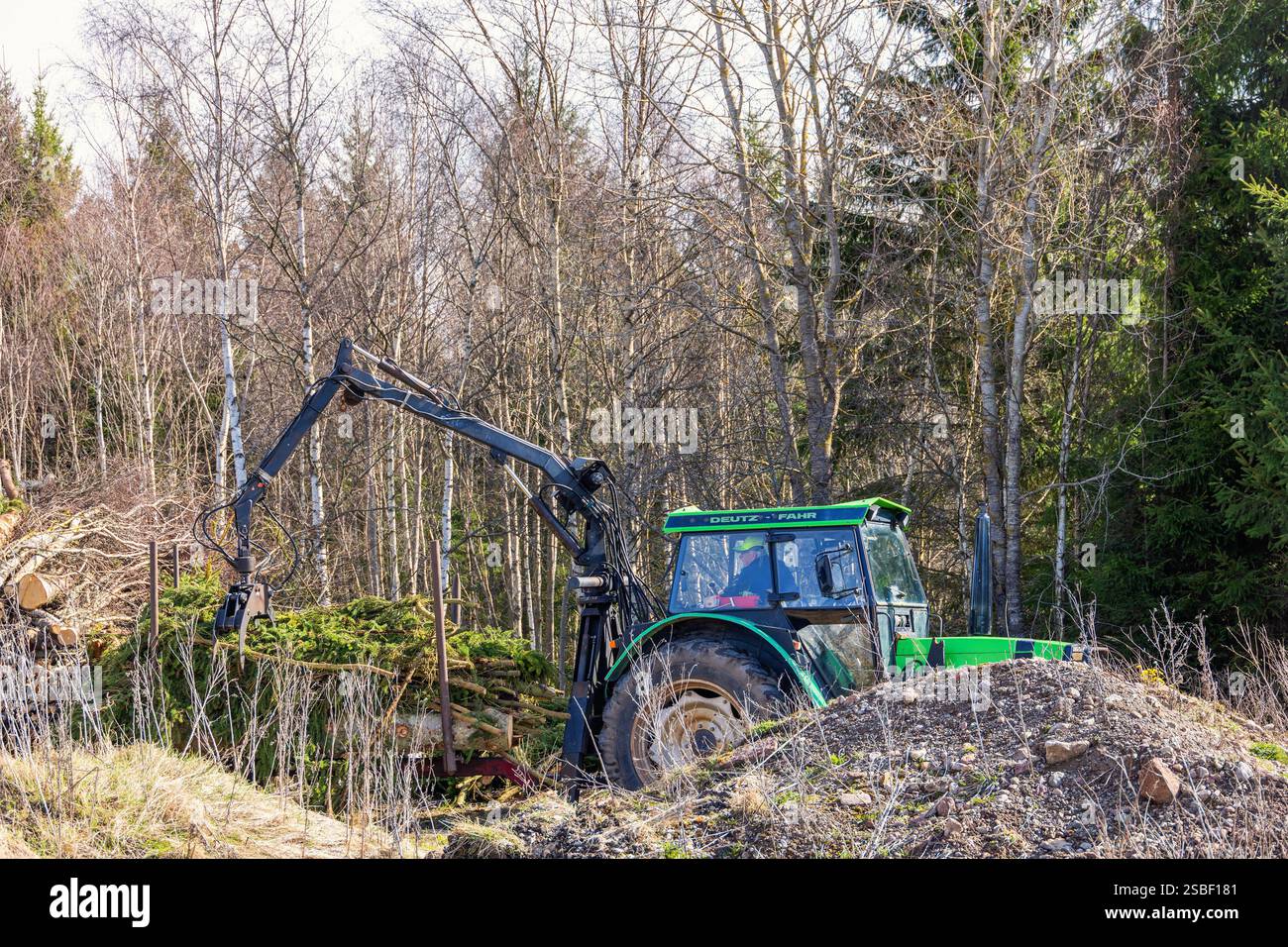 Tractor loading spruce trees with a crane in a woodland Stock Photo - Alamy