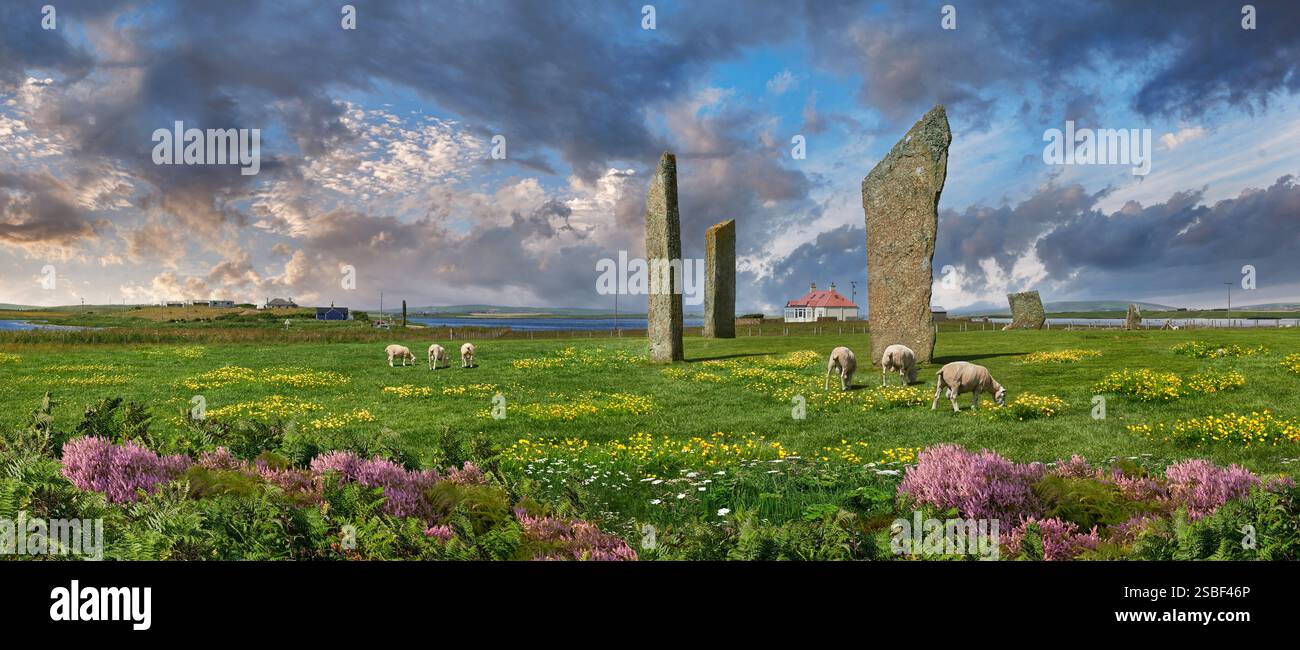 Neolithic Stones of Stenness standing stones Orkney Scotland part of ...