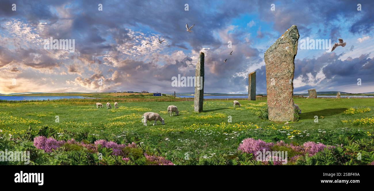Neolithic Stones of Stenness standing stones Orkney Scotland part of ...