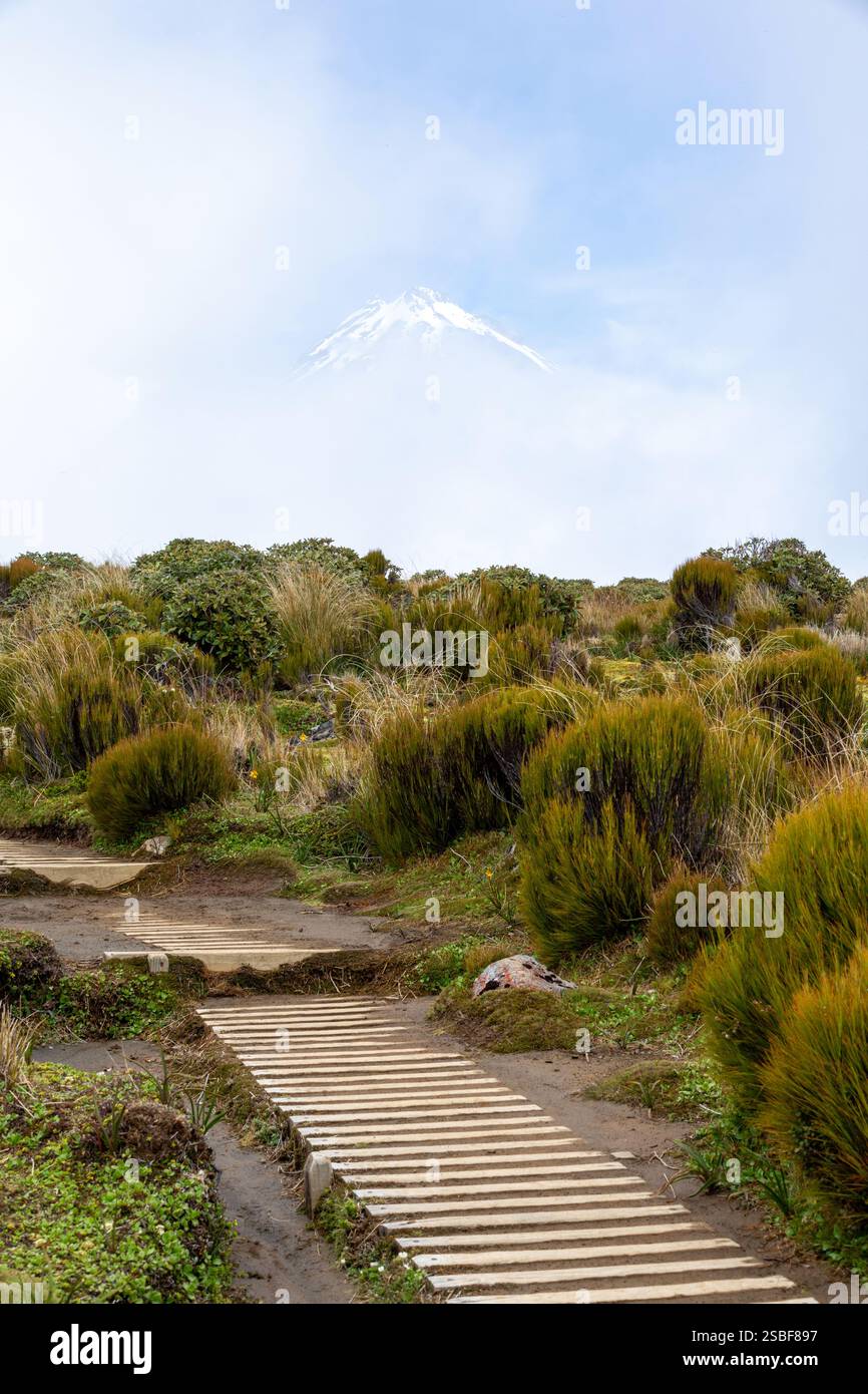 Mangorei track hi-res stock photography and images - Alamy