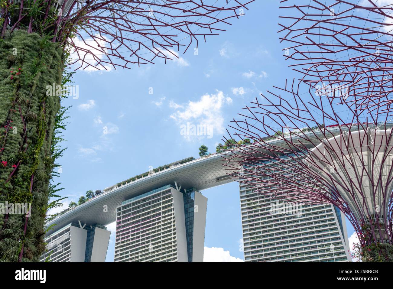 View on Marina Bay Sands Hotel from the trees of the Gardens by the bay ...