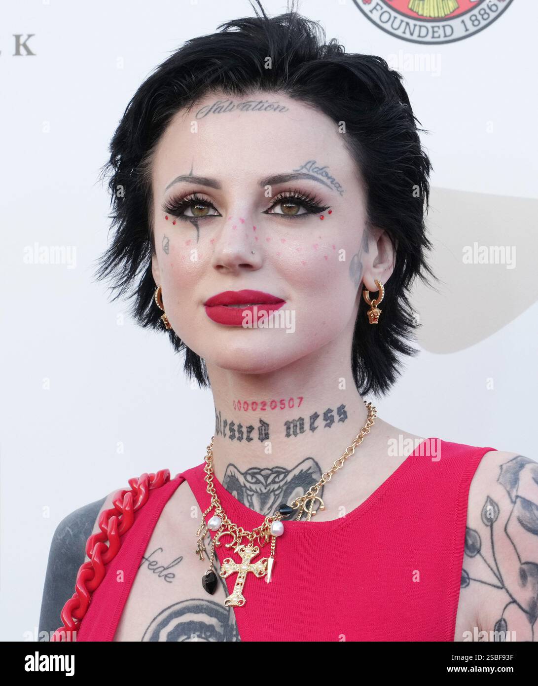 Adrien Skye arrives at the 6th Annual Jam for Janie GRAMMY Awards ...