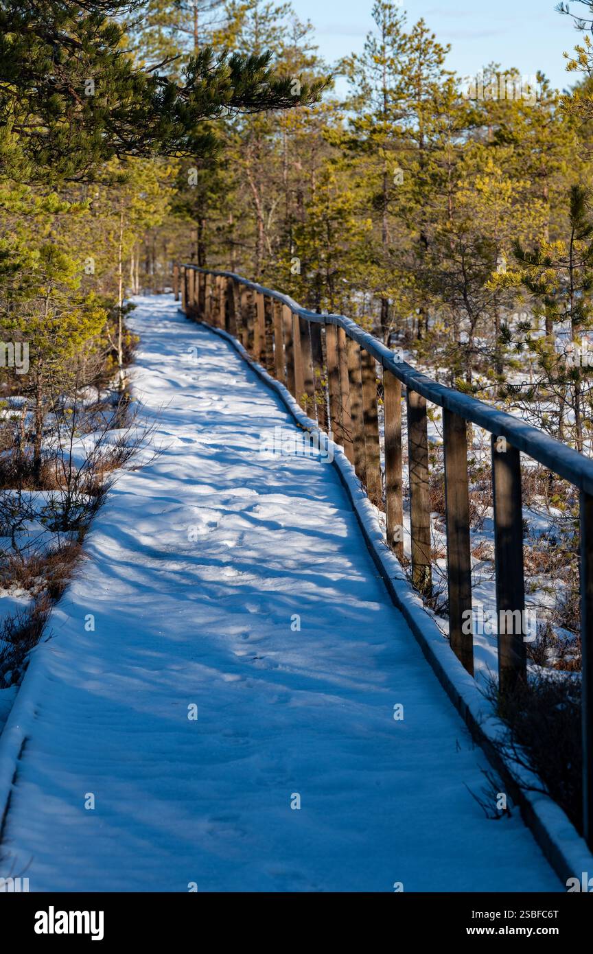 Trail through nature reserve with prints in snow Stock Photo - Alamy