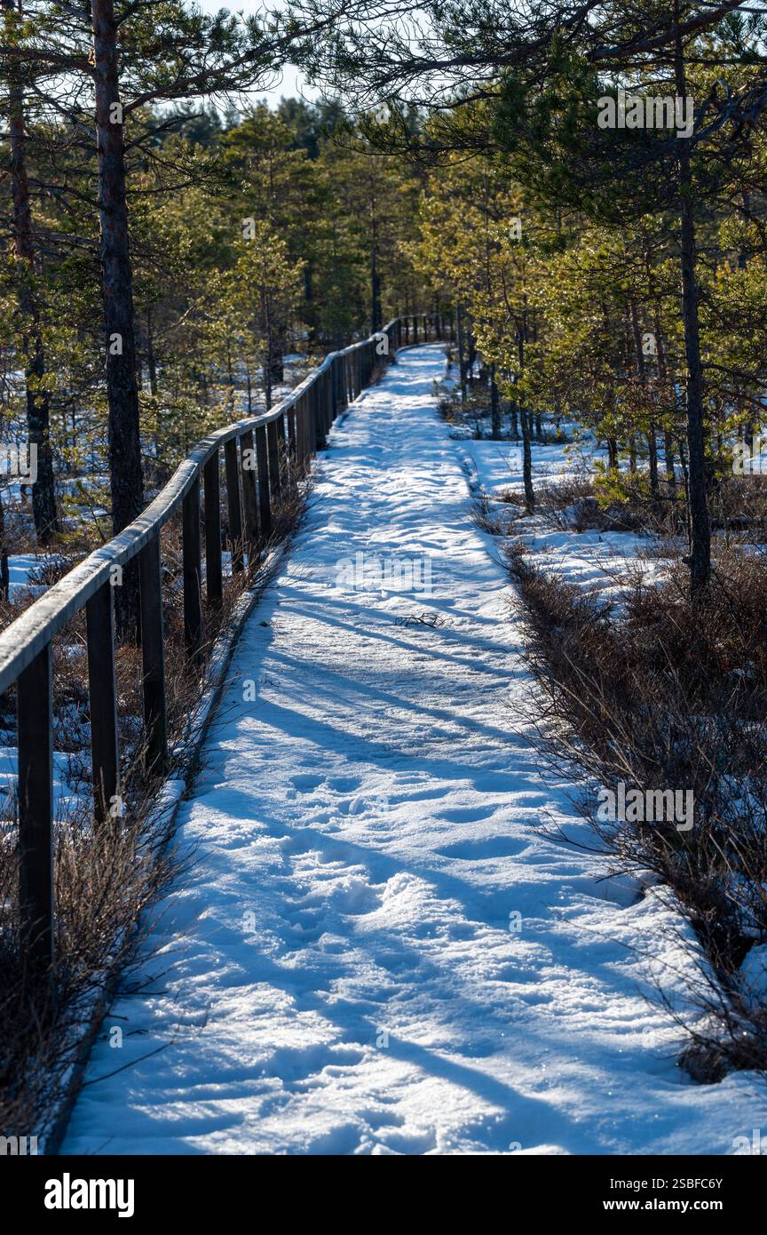 Trail through nature reserve with prints in snow Stock Photo - Alamy