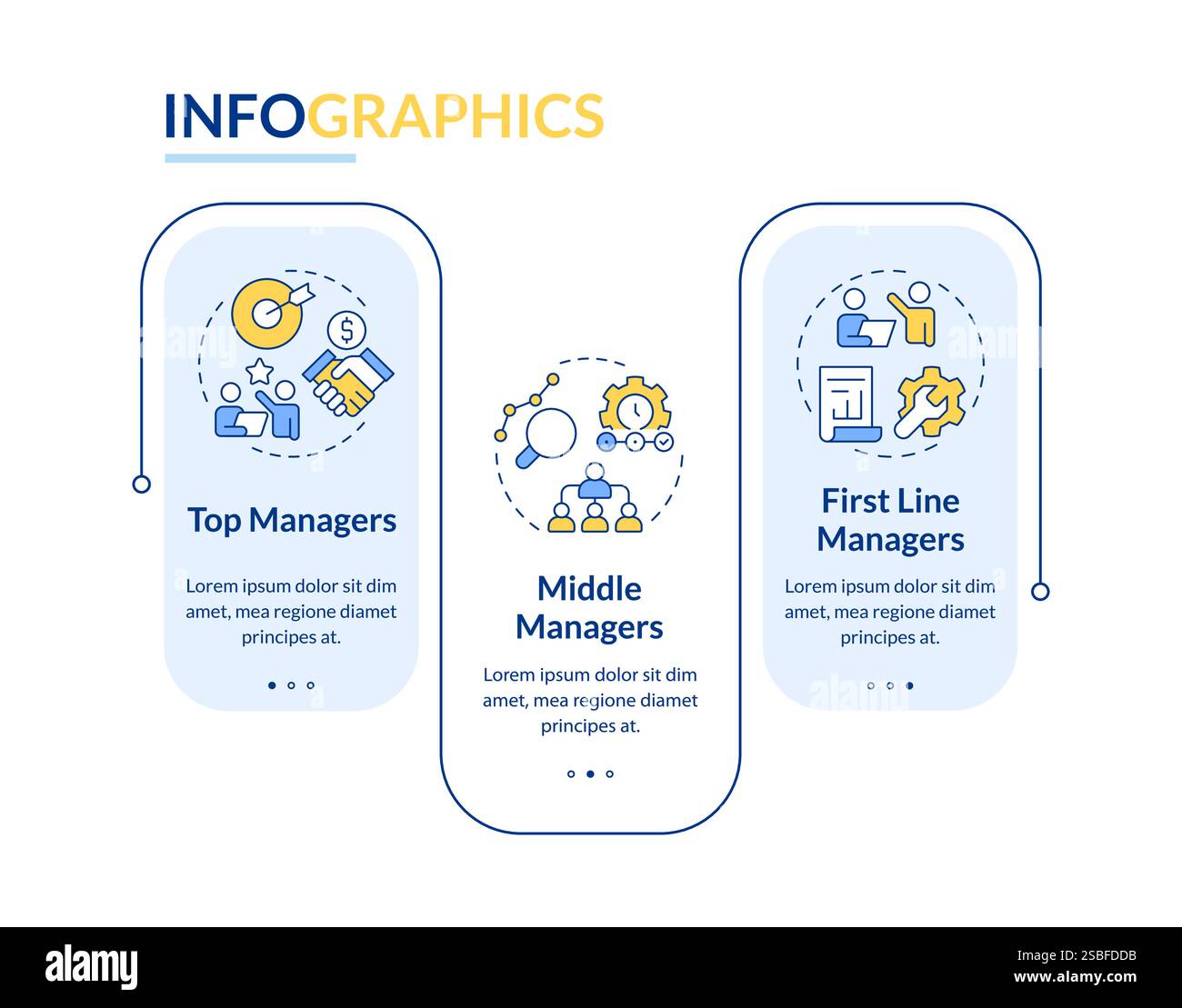 Levels of management rectangle infographic vector Stock Vector Image & Art - Alamy