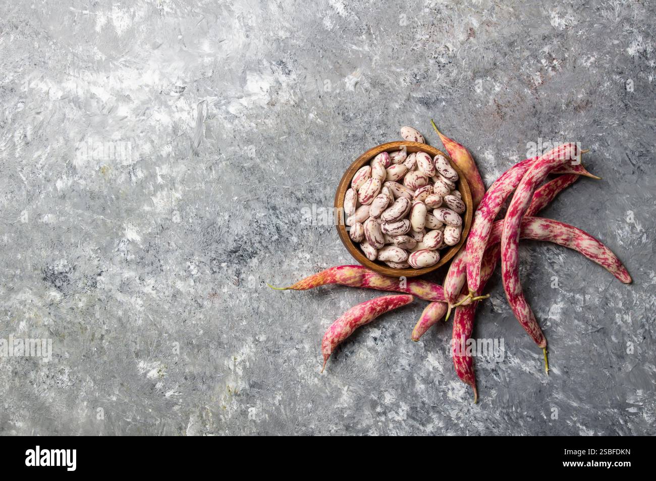 Harvested uncooked dried roman beans with raw pod plant on rustic ...