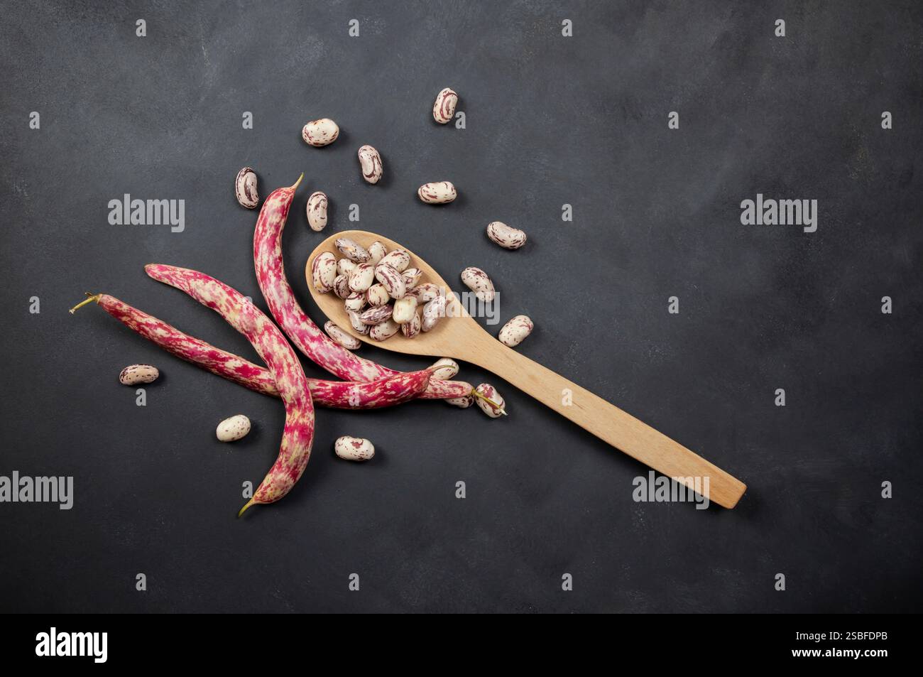 Harvested uncooked dried roman beans with raw pod plant on rustic ...