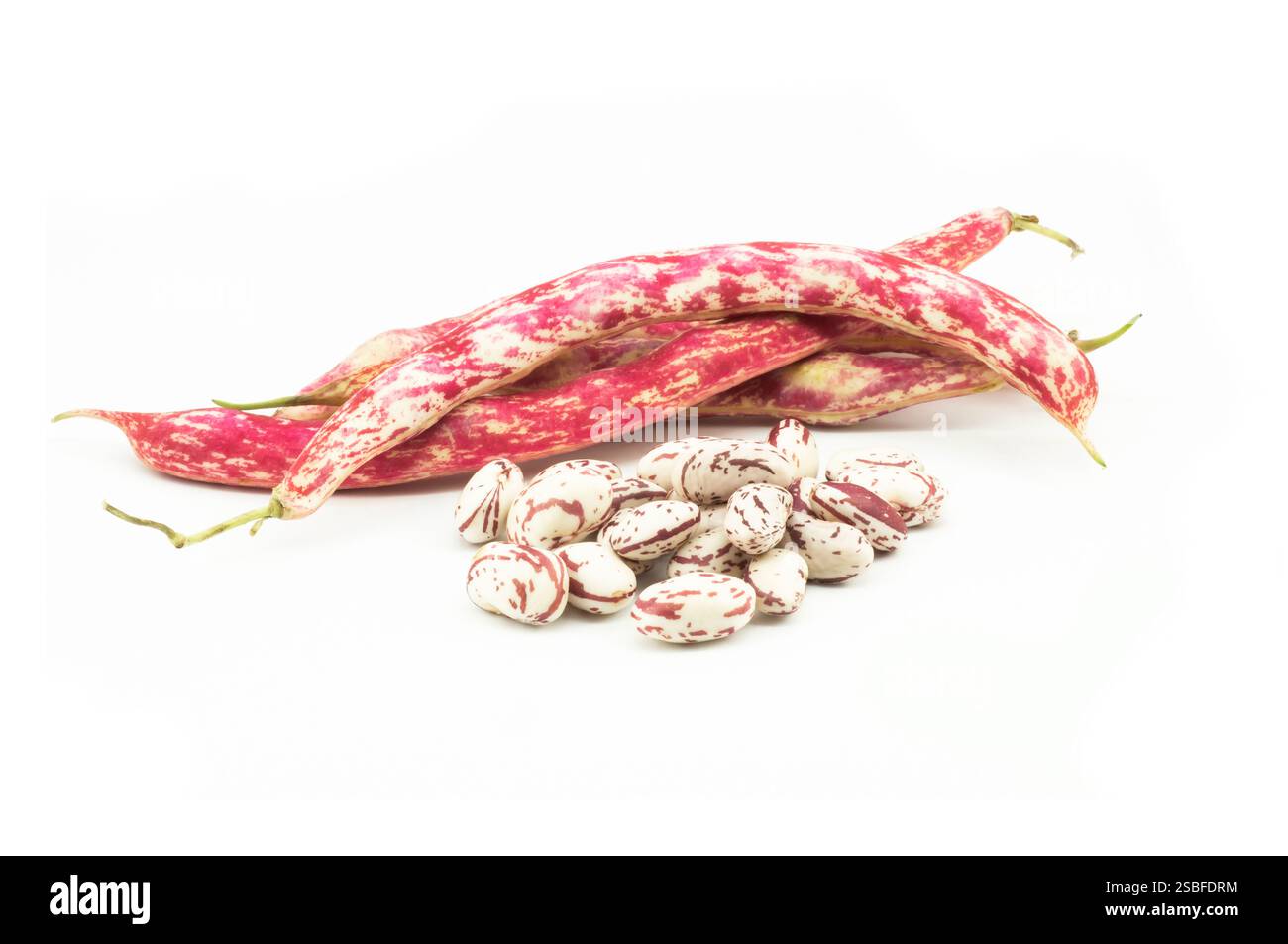 Harvested uncooked dried roman beans with raw pod plant isolated on ...