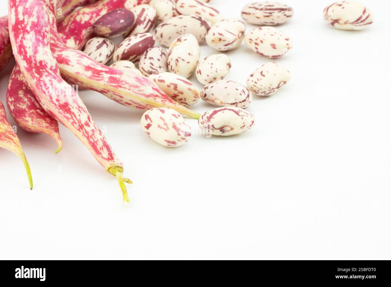 Harvested uncooked dried roman beans with raw pod plant isolated on ...