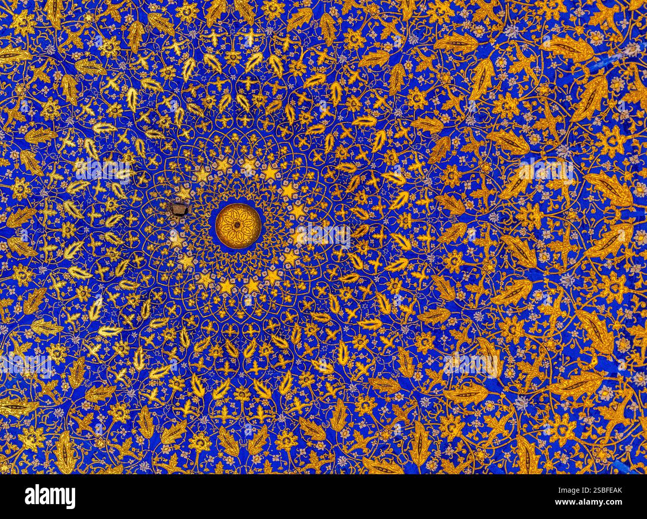 A stunning ceiling design featuring intricate floral and geometric ...