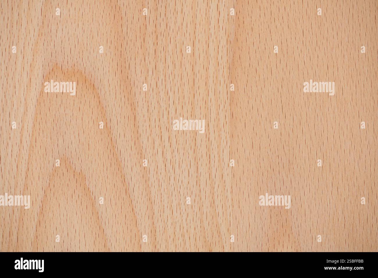 Beech board texture. Texture of natural beech finished board, noble ...